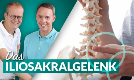 Das Iliosakralgelenk (ISG) – Wirbelsäulen-Zentrum Fulda|Main|Kinzig